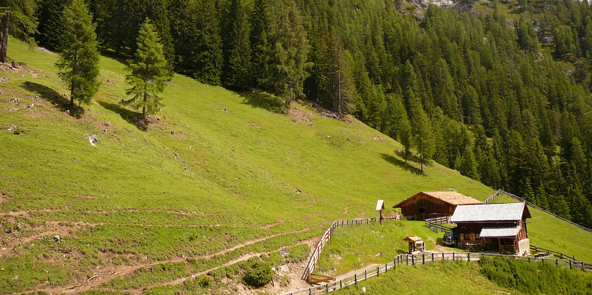 In Alto Adige la prima malga vegetariana e vegana - Green.it