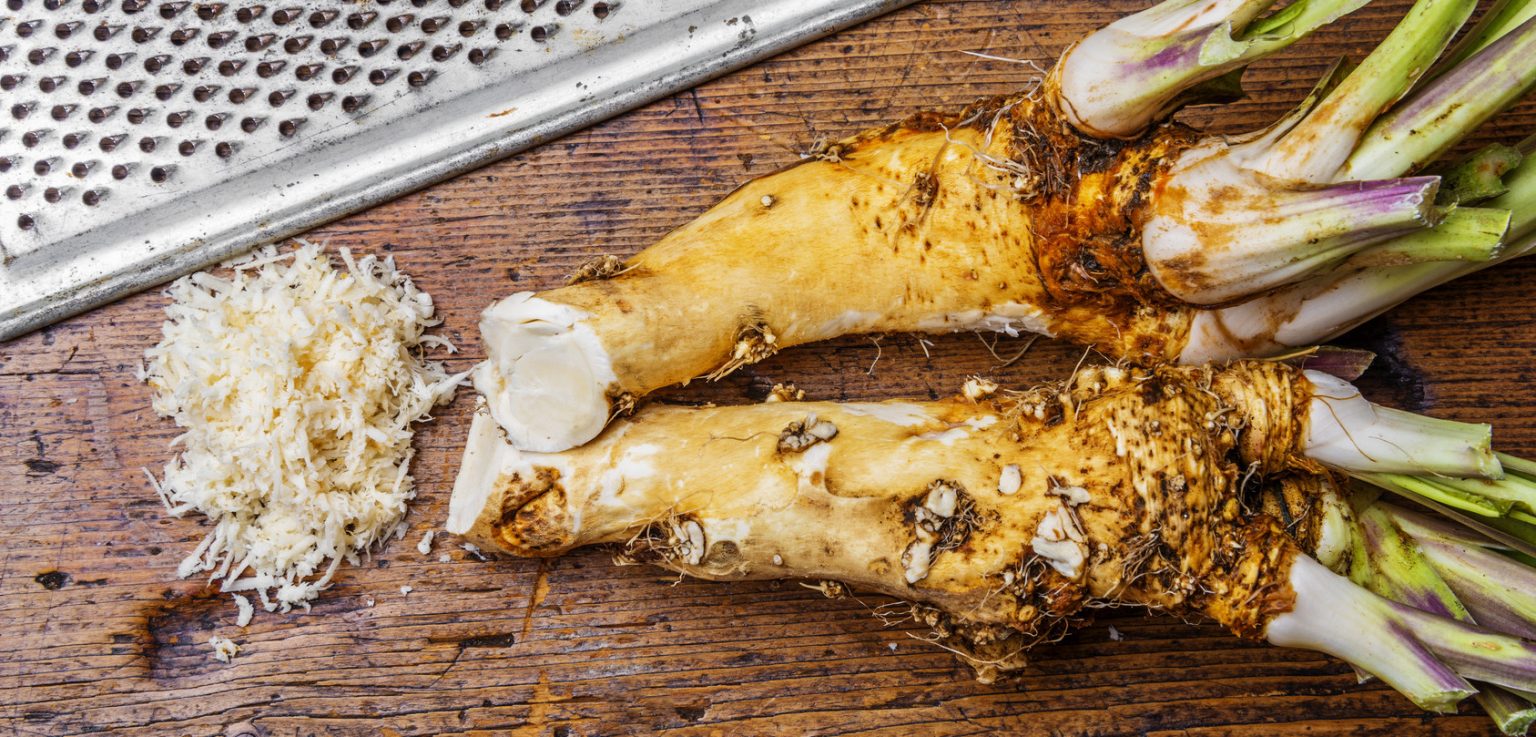 Proprietà curative e utilizzi del rafano - Green.it