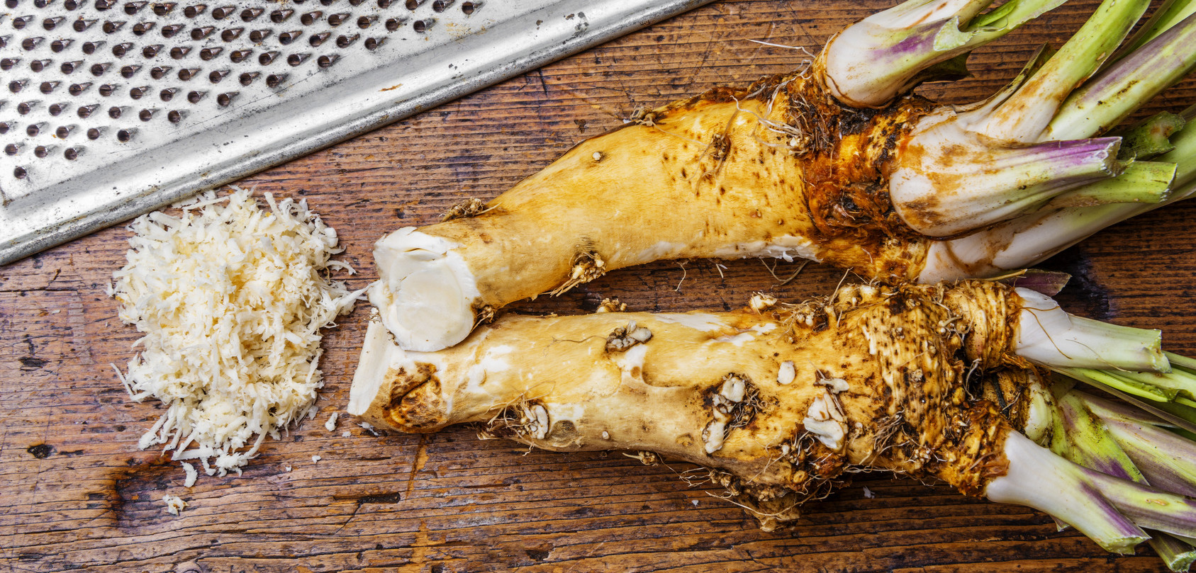 Proprietà curative e utilizzi del rafano - Green.it