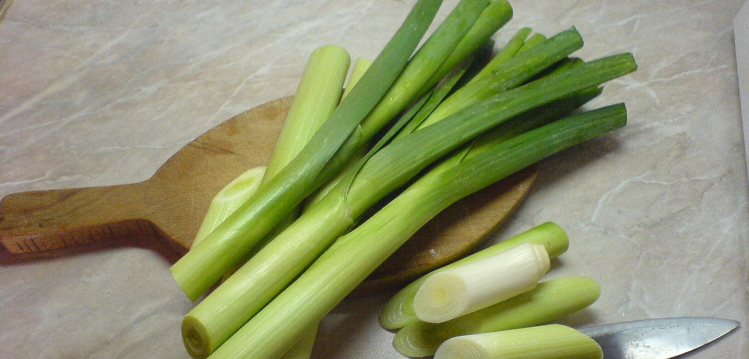 Porro: proprietà e virtù di una pianta mediterranea - Green.it