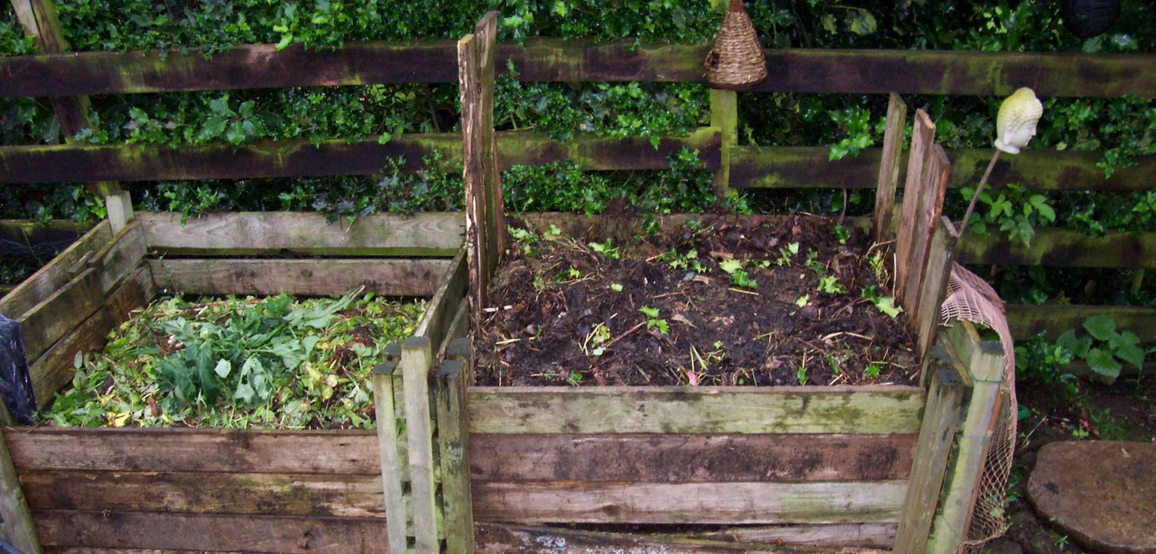 Italia: il 55% dell'umido viene raccolto - Green.it