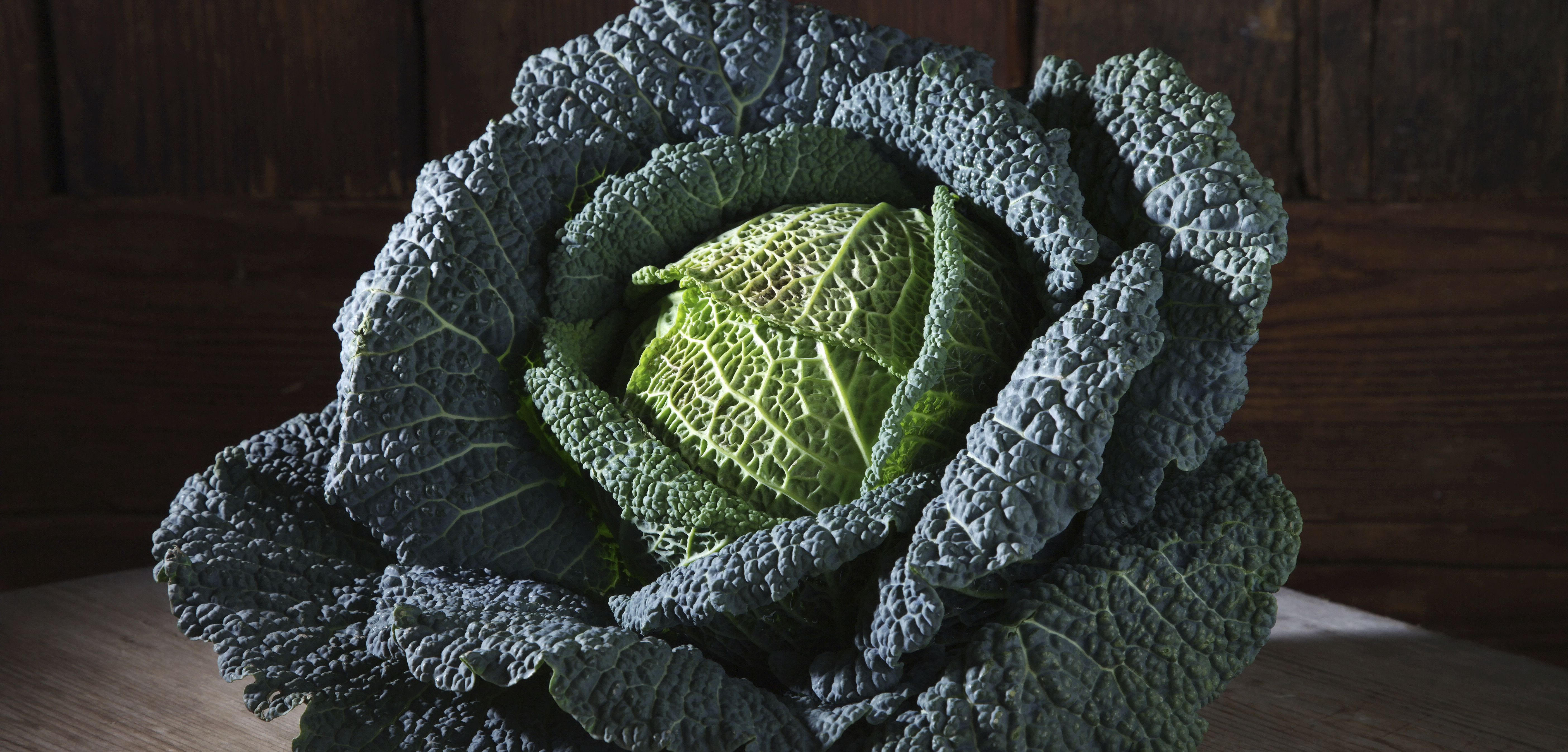 Quanto è prezioso il cavolo nero? - Green.it