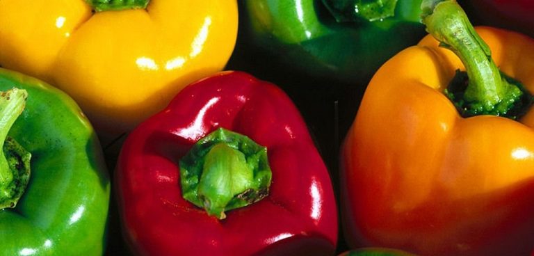 Proprietà nutrizionali e benefici del peperone - Green.it