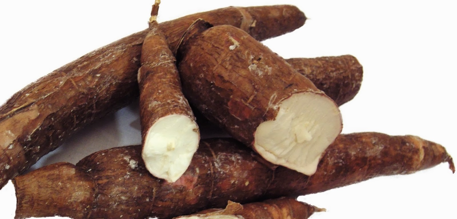 Tapioca, una farina senza glutine dall'America Centrale - Green.it