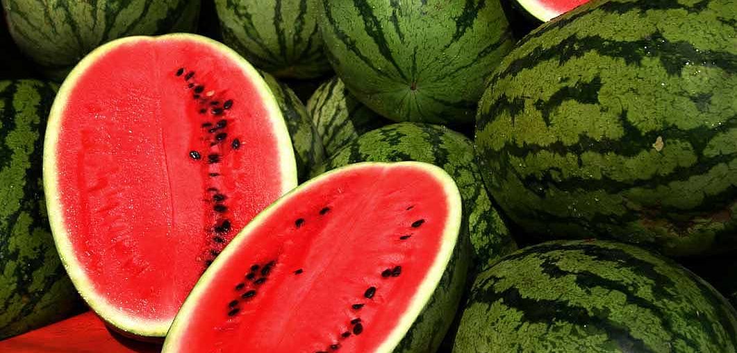 Anguria: 7 ragioni per non rinunciare mai - Green.it