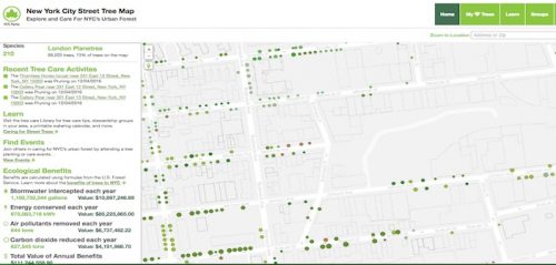 NYC Street Tree Map, quanto ci fa risparmiare un albero? - Green.it