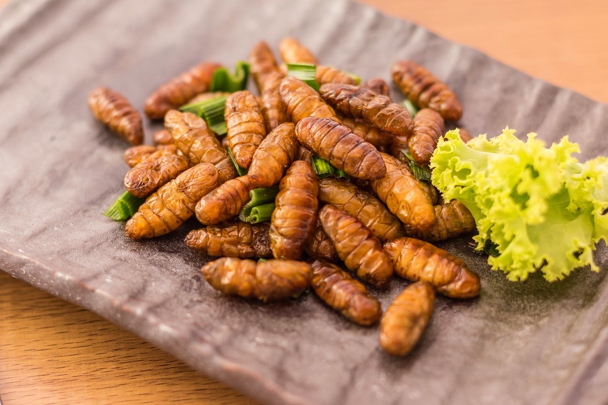 Novel food, contrario un italiano su due... e voi? - Green.it