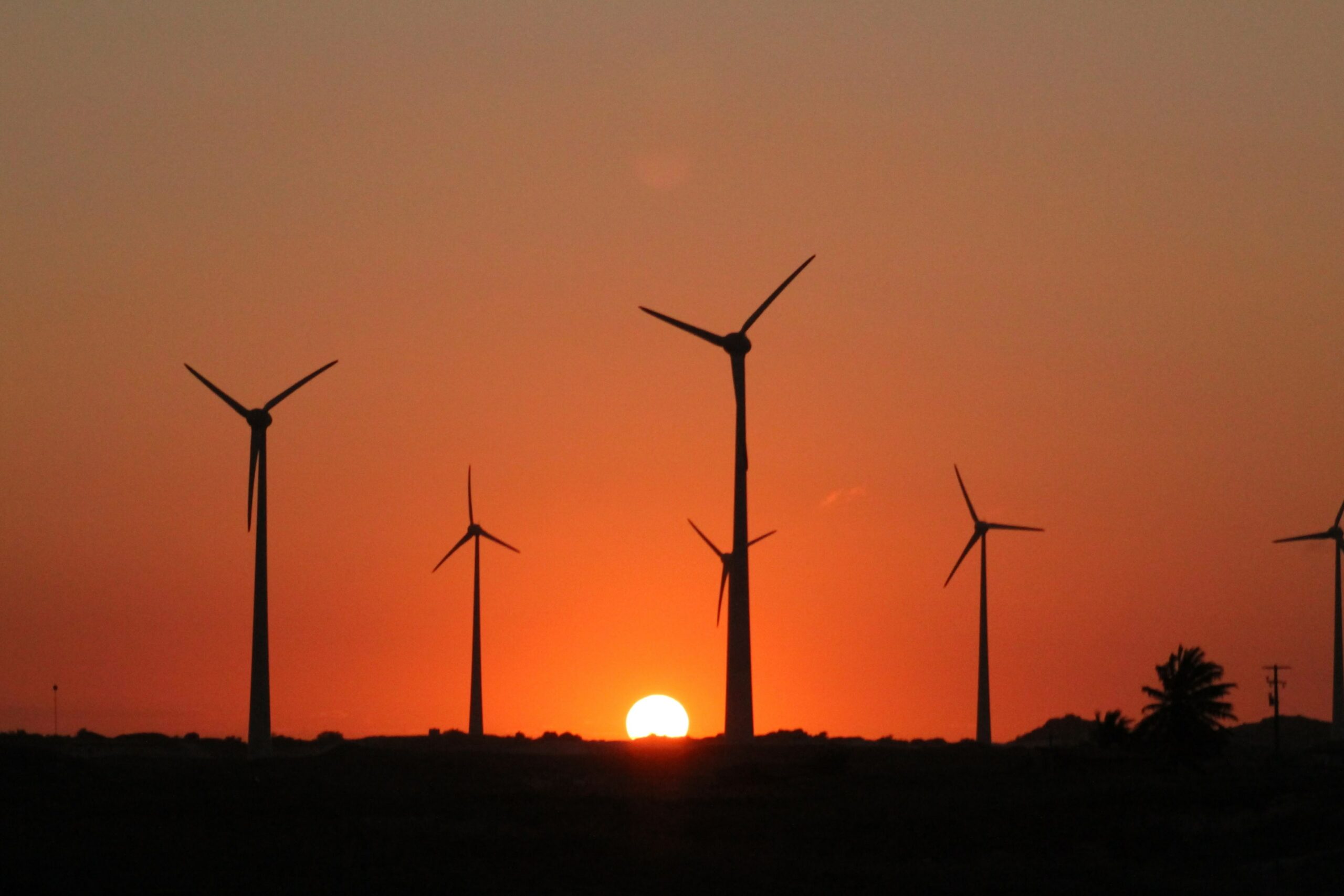 Cos'è la greenflation? Come si supera? - Green.it